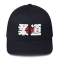 Judo Kanji FlexFit Structured Twill Cap – NoGi Industries